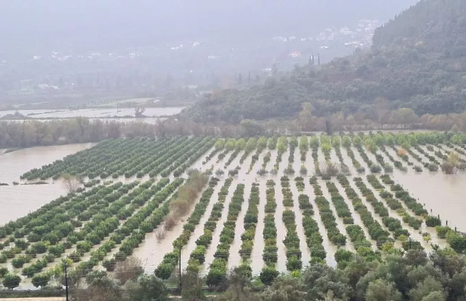 Πλημμύρισε ο κάμπος των Φιλιατών στη Θεσπρωτία - Agro Tec