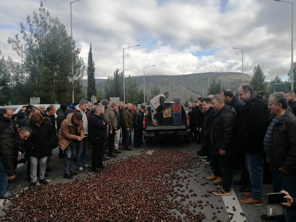 Σκόρπισαν τα κάστανα στον κόμβο της Γυρτώνης - Agro Tec