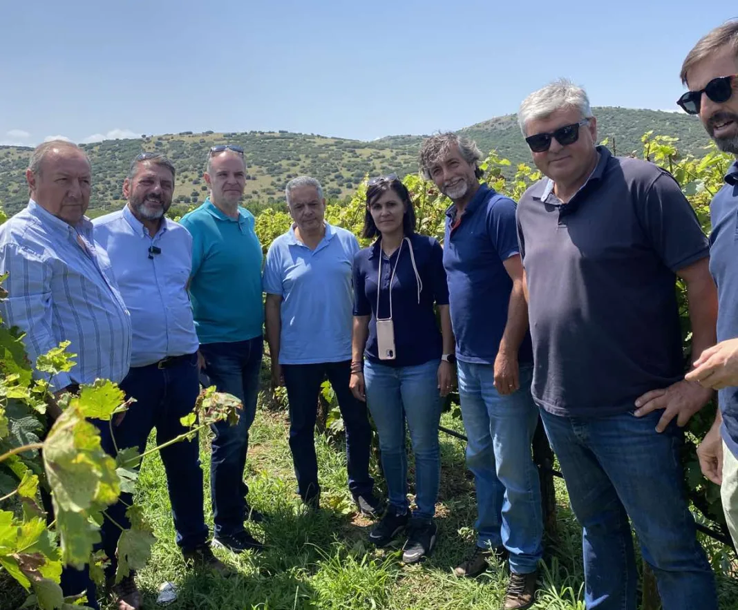 Περονόσπορος και ακαρπία σε καλλιέργειες - Agro Tec