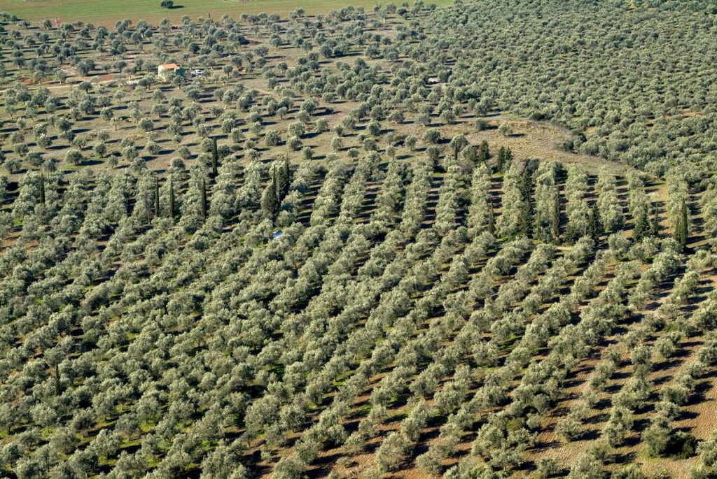H πρώτη πιστοποίηση για την Αναγεννητική Γεωργία σύμφωνα με το πρότυπο ...