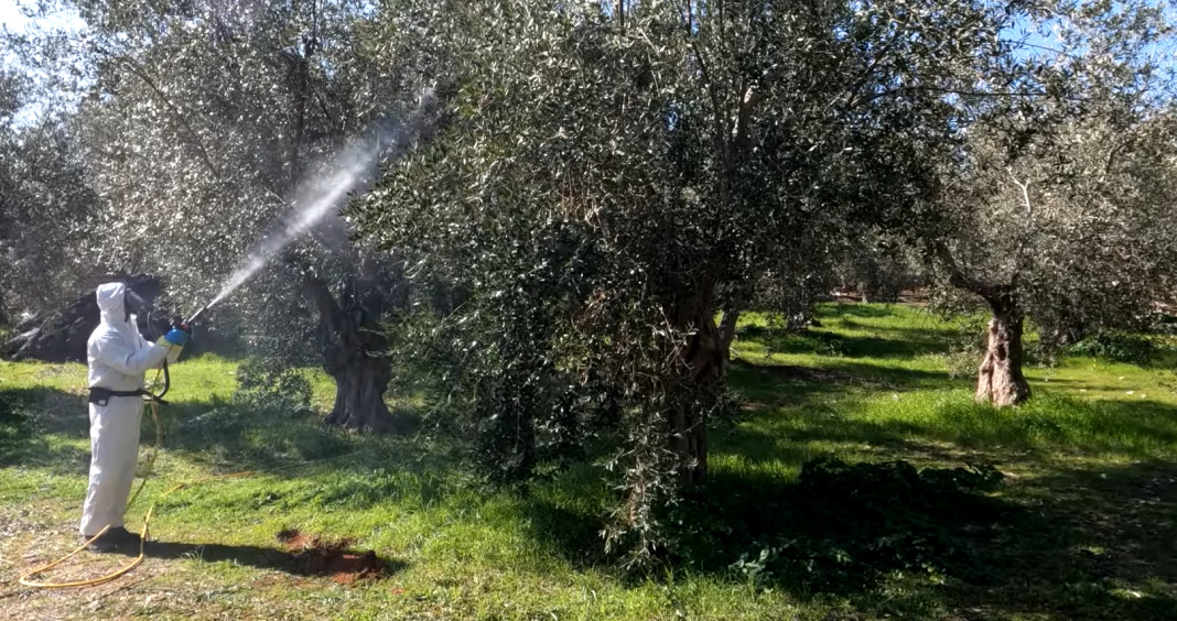 Κώστας Βενέτης: Χαλκός, ένα πολύτιμο υλικό για τη γεωργία - Agro Tec